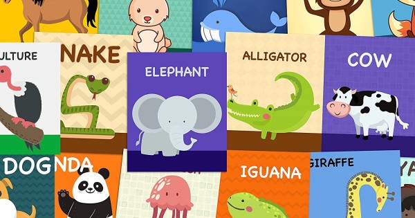 A-Z-Animal-Educational-Flash-Cards